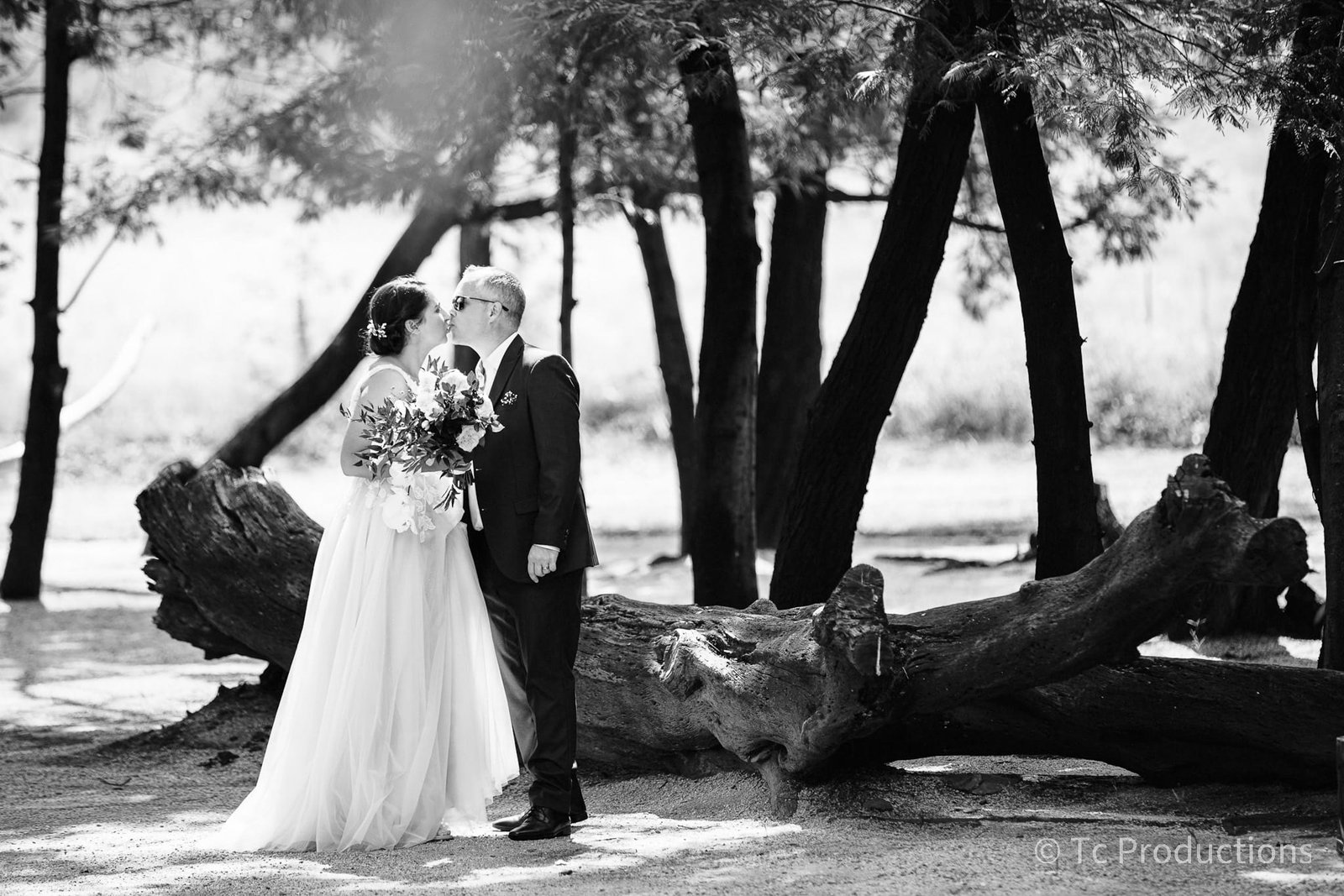 High Quality Photography And Videography Packages 2023 - TC Productions